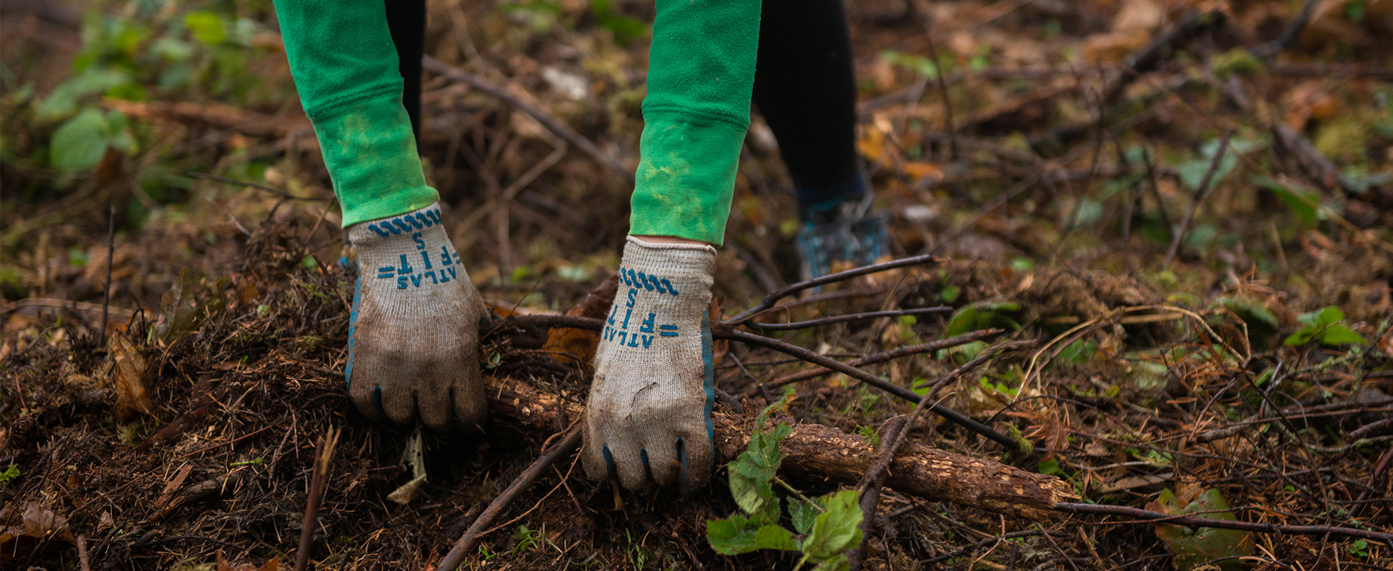 ECOLOGICAL RESTORATION | College of Forestry ECOLOGICAL RESTORATION | College of Forestry